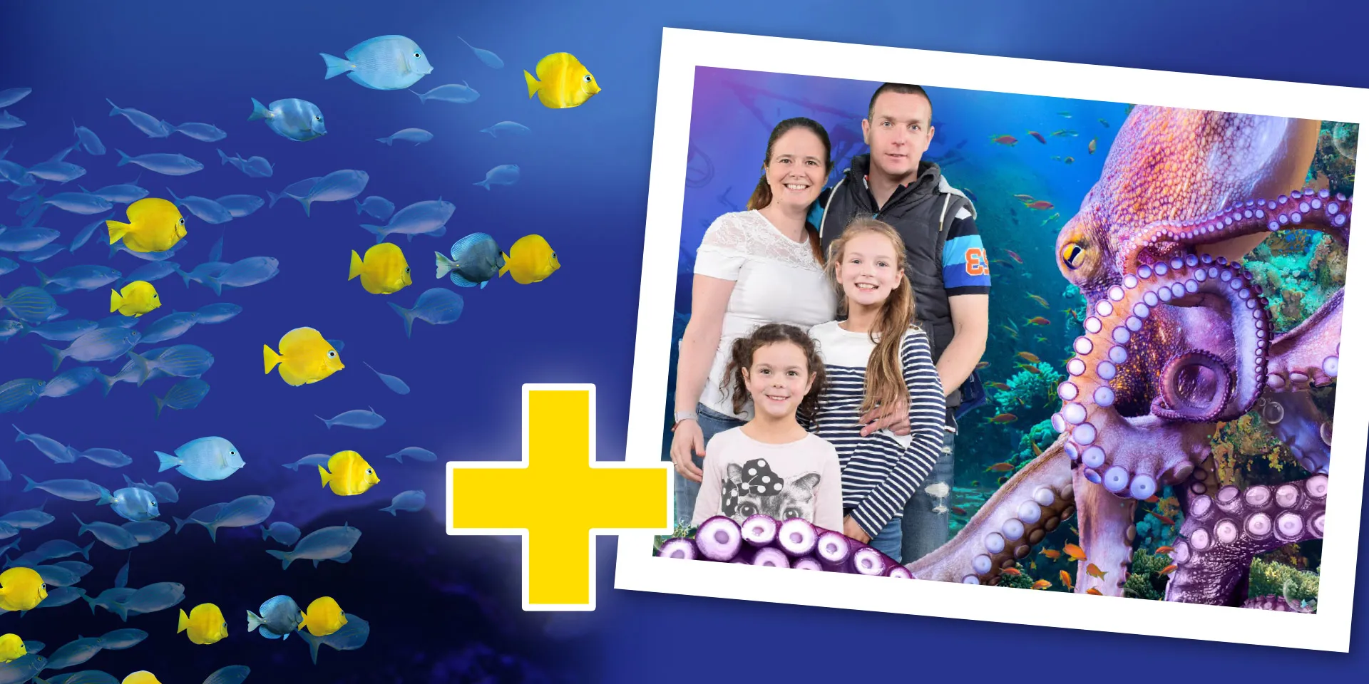 Tickets & Passes | SEA LIFE Munich
