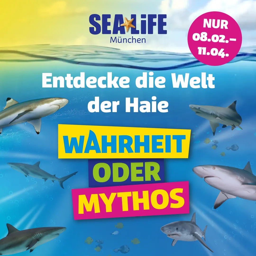 Hai-Themenwochen | SEA LIFE München