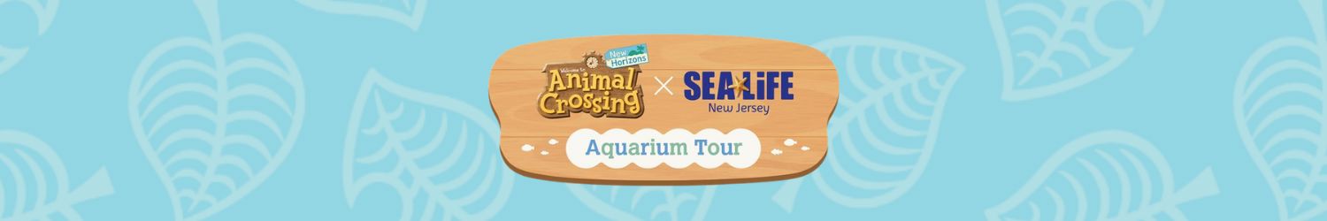 Animal Crossing Aquarium Tour | SEA LIFE New Jersey Aquarium