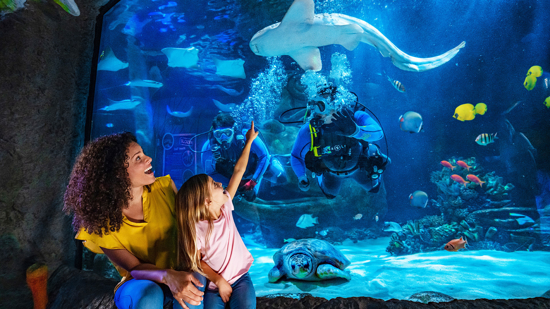 SEA LIFE Membership at the New Jersey Aquarium | Now Available