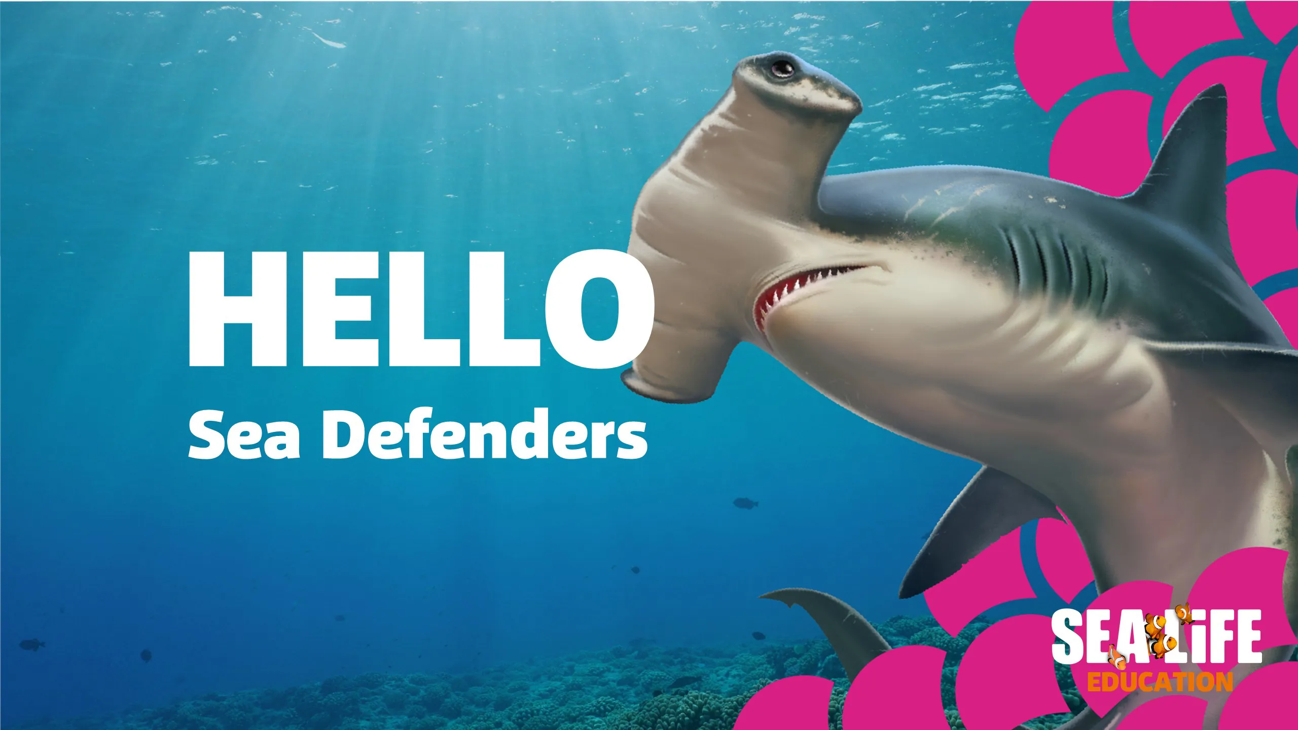 Teacher Resources | SEA LIFE Orlando Aquarium