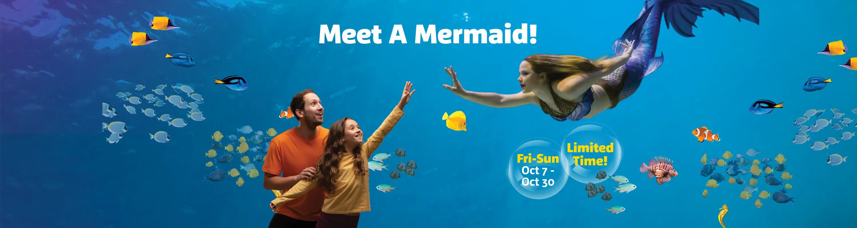 SEA LIFE Orlando Aquarium Florida | ICON Park Attraction
