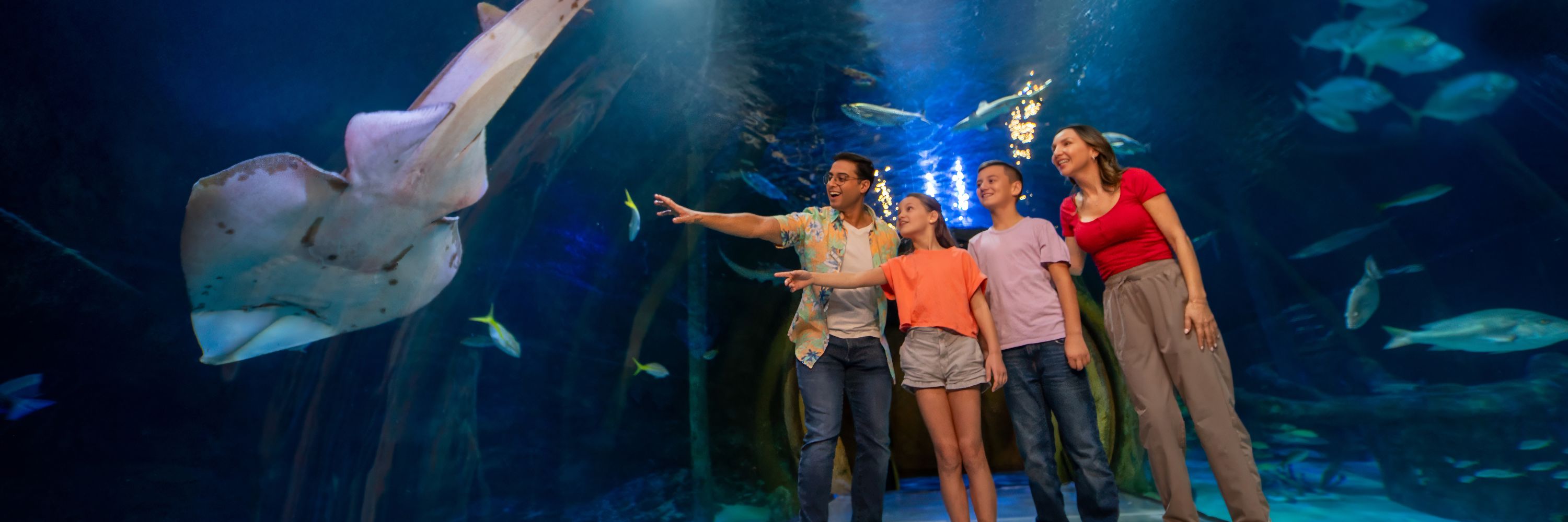 Corporate Events: Team Building | SEA LIFE Orlando Aquarium