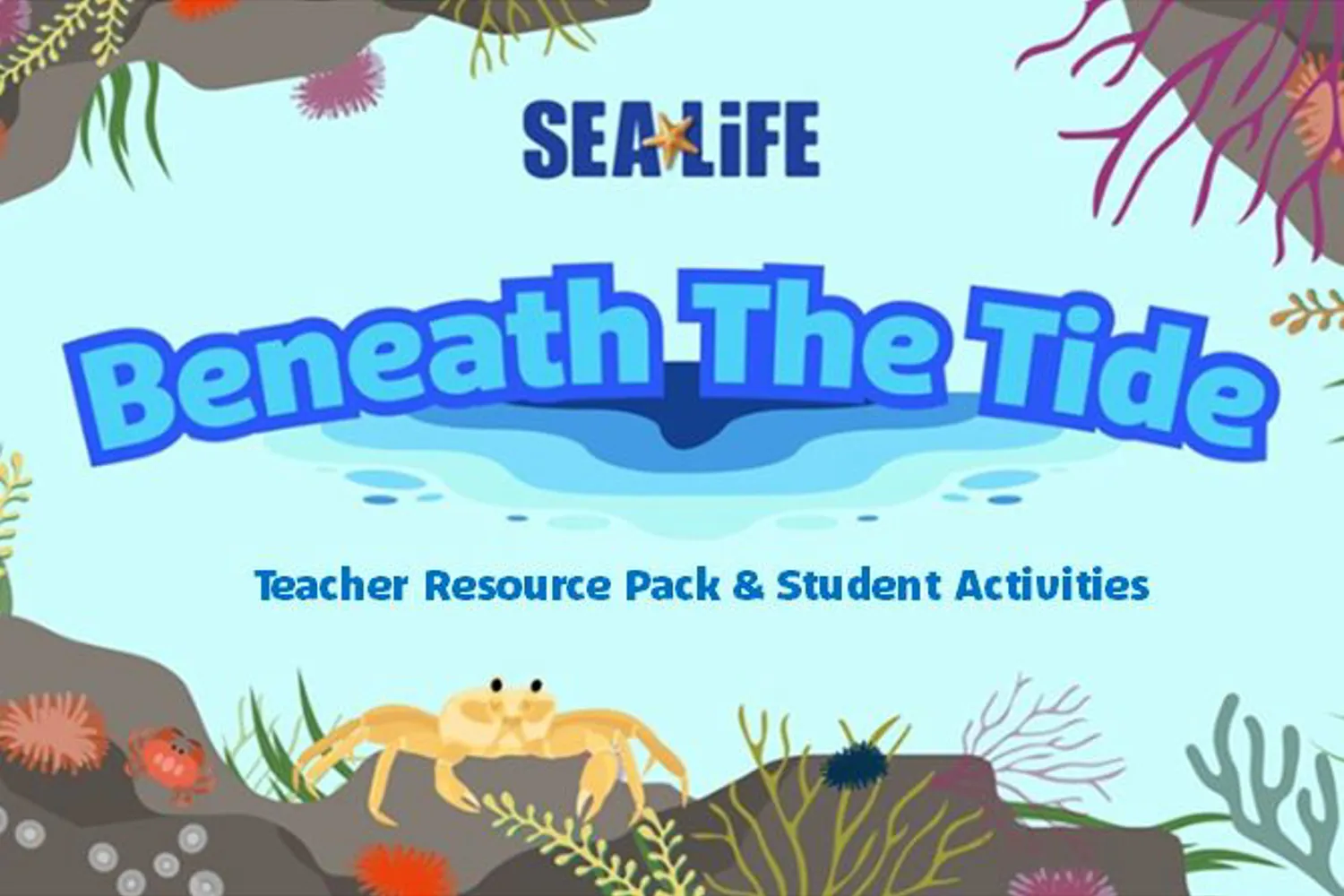 Schools | SEA LIFE Orlando Aquarium