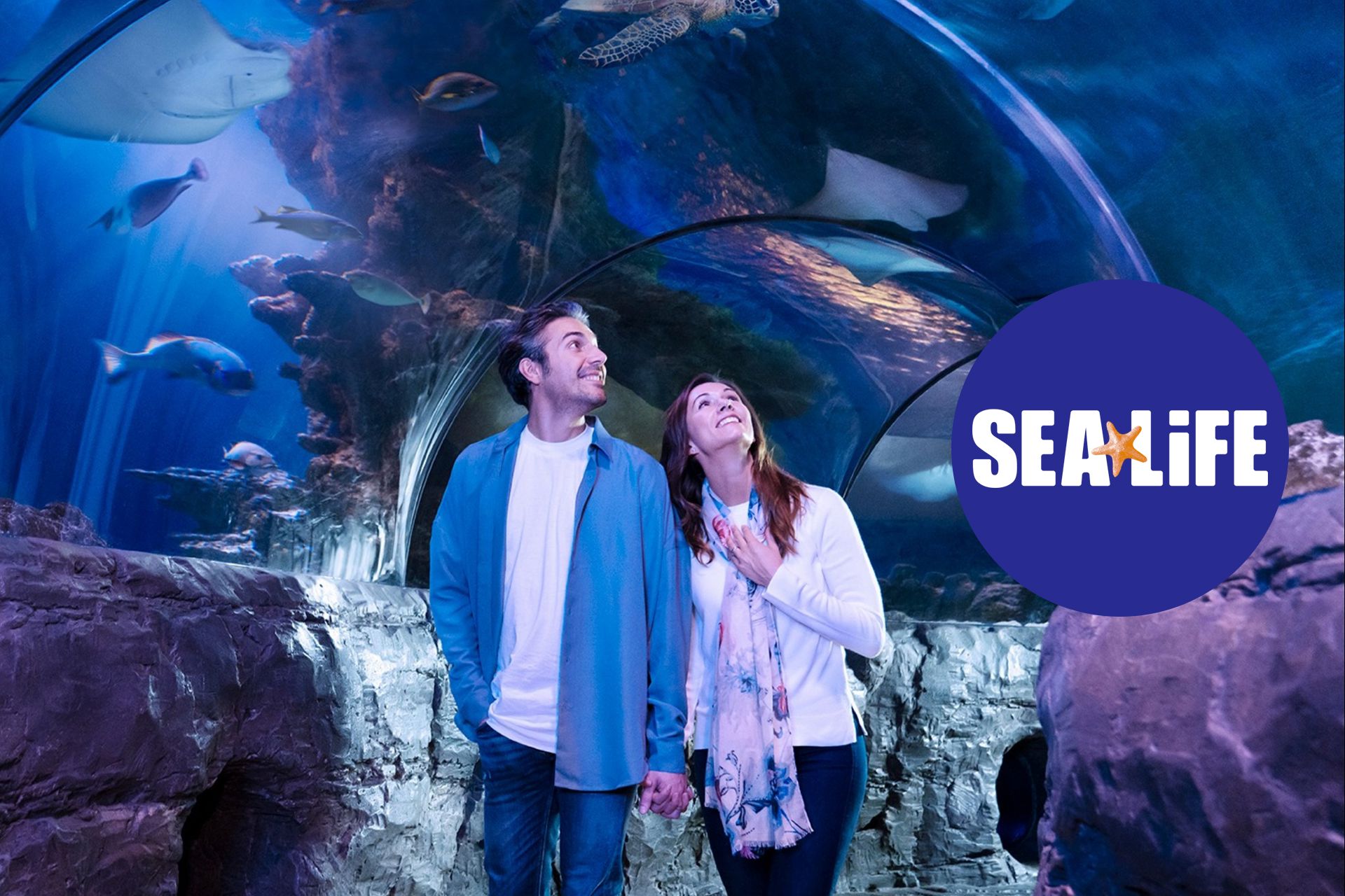 Military Passes | SEA LIFE San Antonio