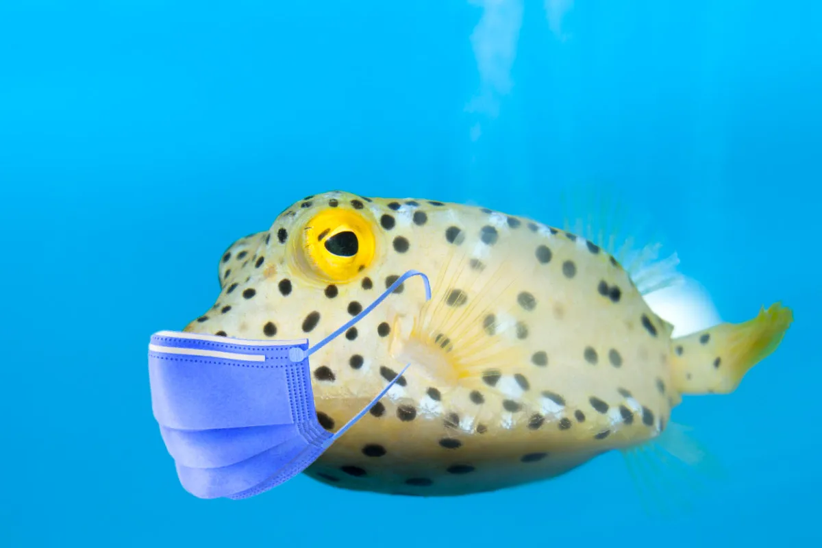 SEA LIFE Scheveningen - Official Website