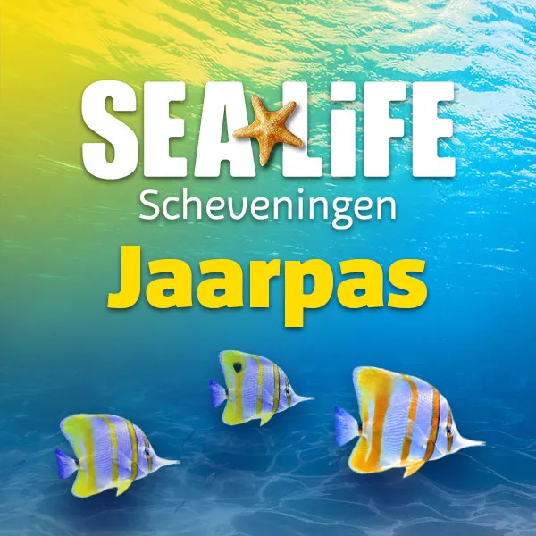 SEA LIFE Scheveningen | Officiële website