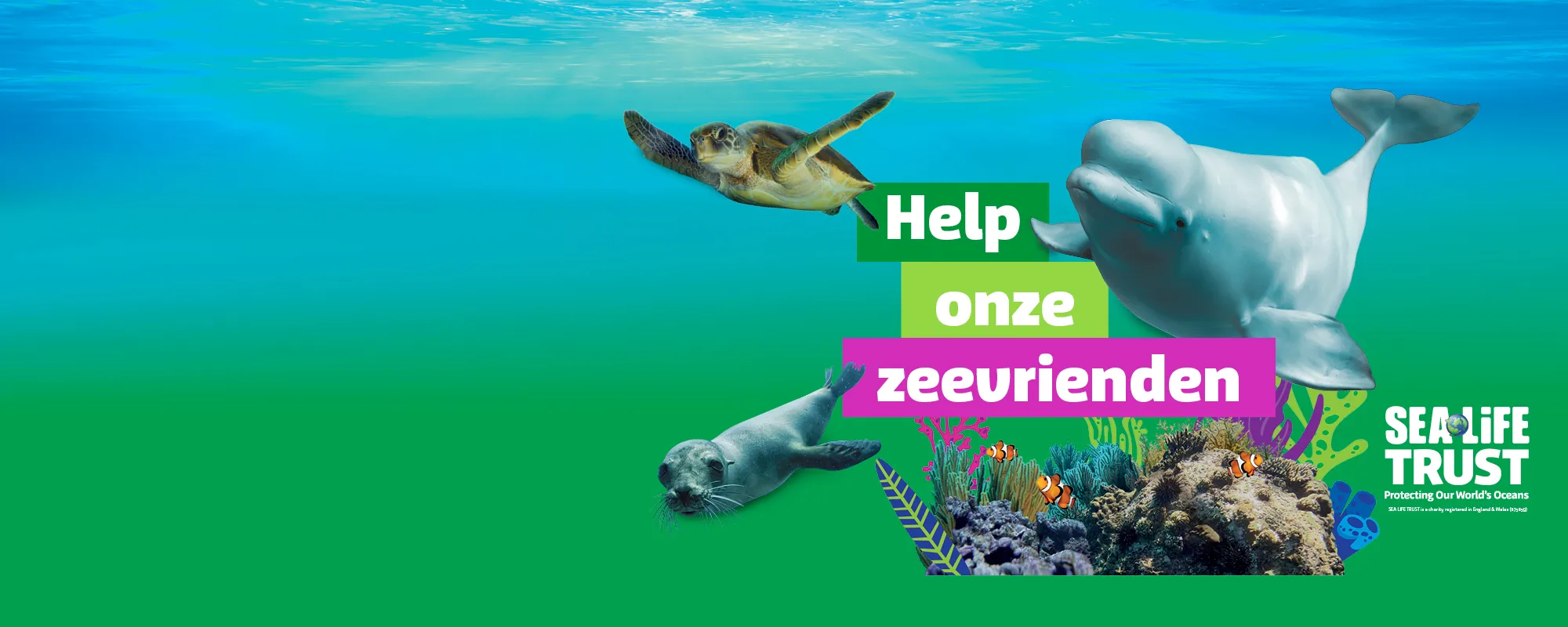 SEA LIFE Scheveningen | Officiële website