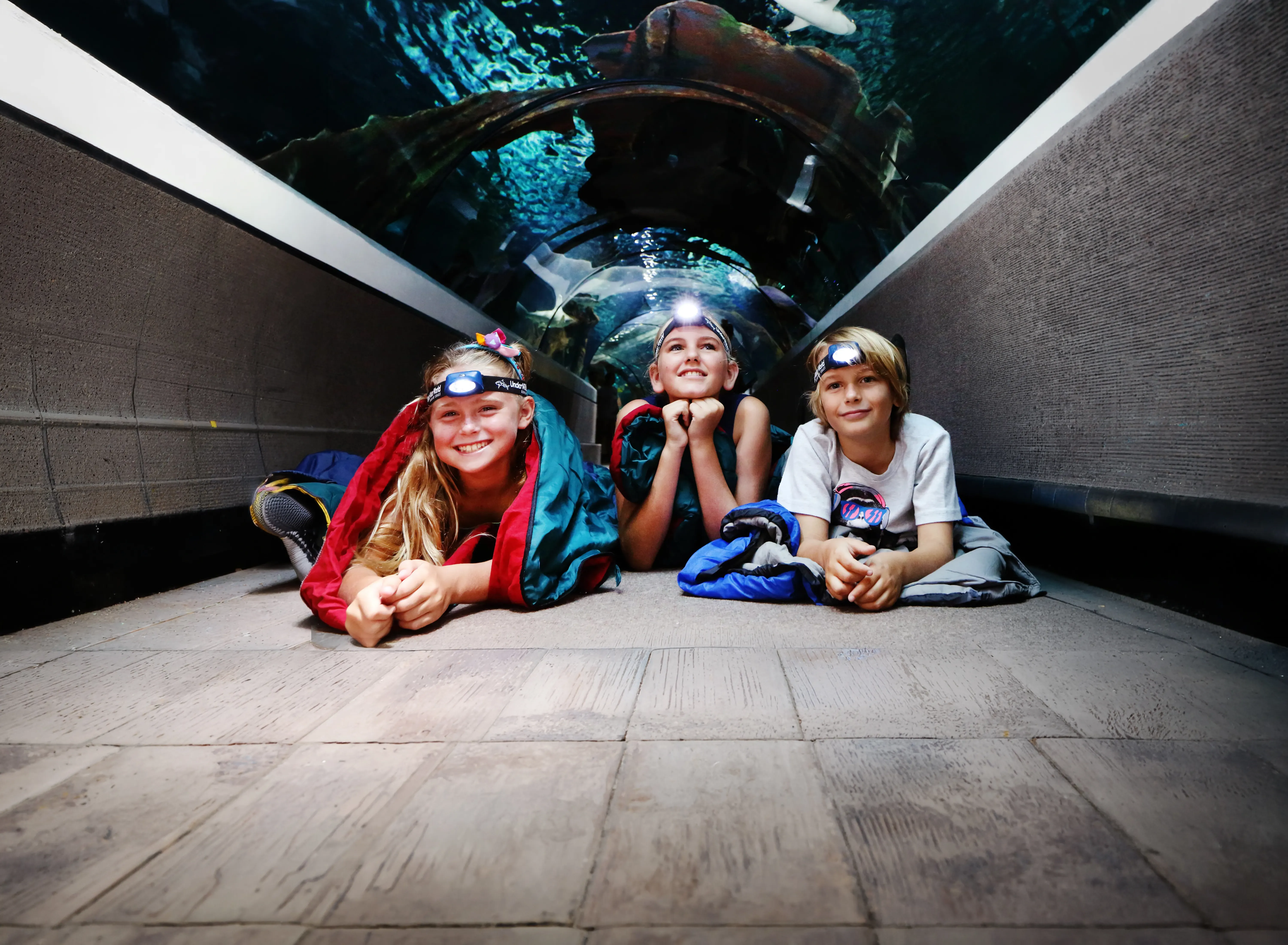 SEA LIFE Sunshine Coast Aquarium in Mooloolaba, AUS - Official Website