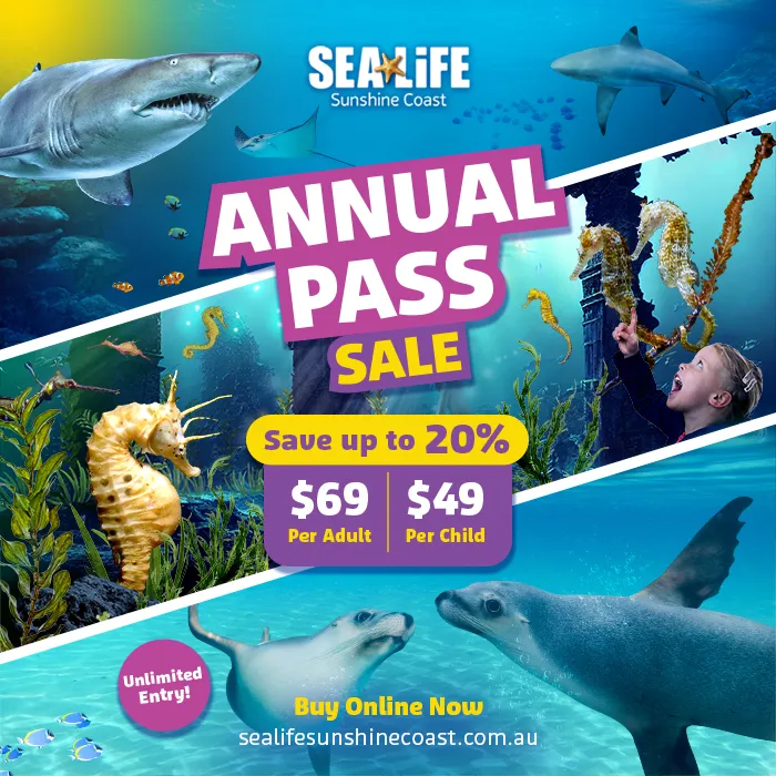 A Unique Underwater World - SEA LIFE Sunshine Coast