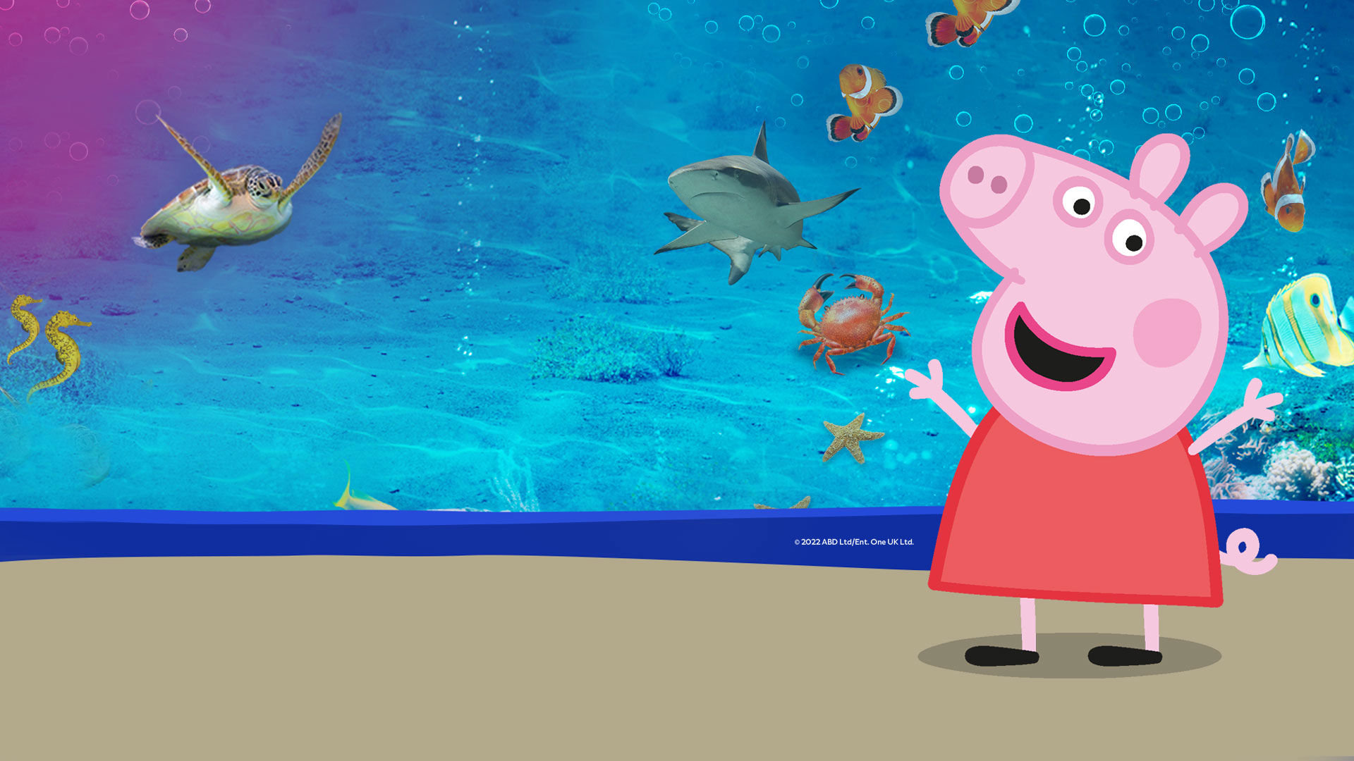 Peppa's Aquarium Adventure | SEA LIFE Sunshine Coast