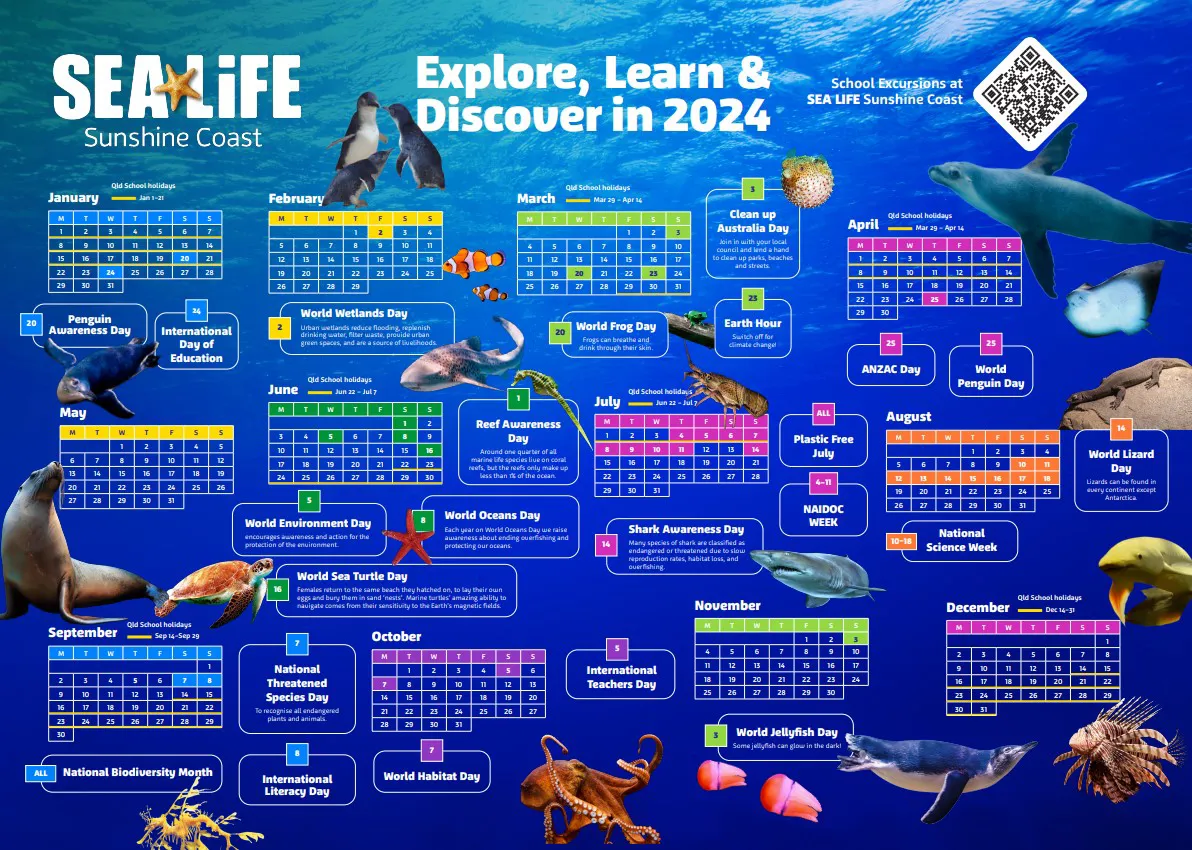 Teacher Resources | SEA LIFE Sunshine Coast