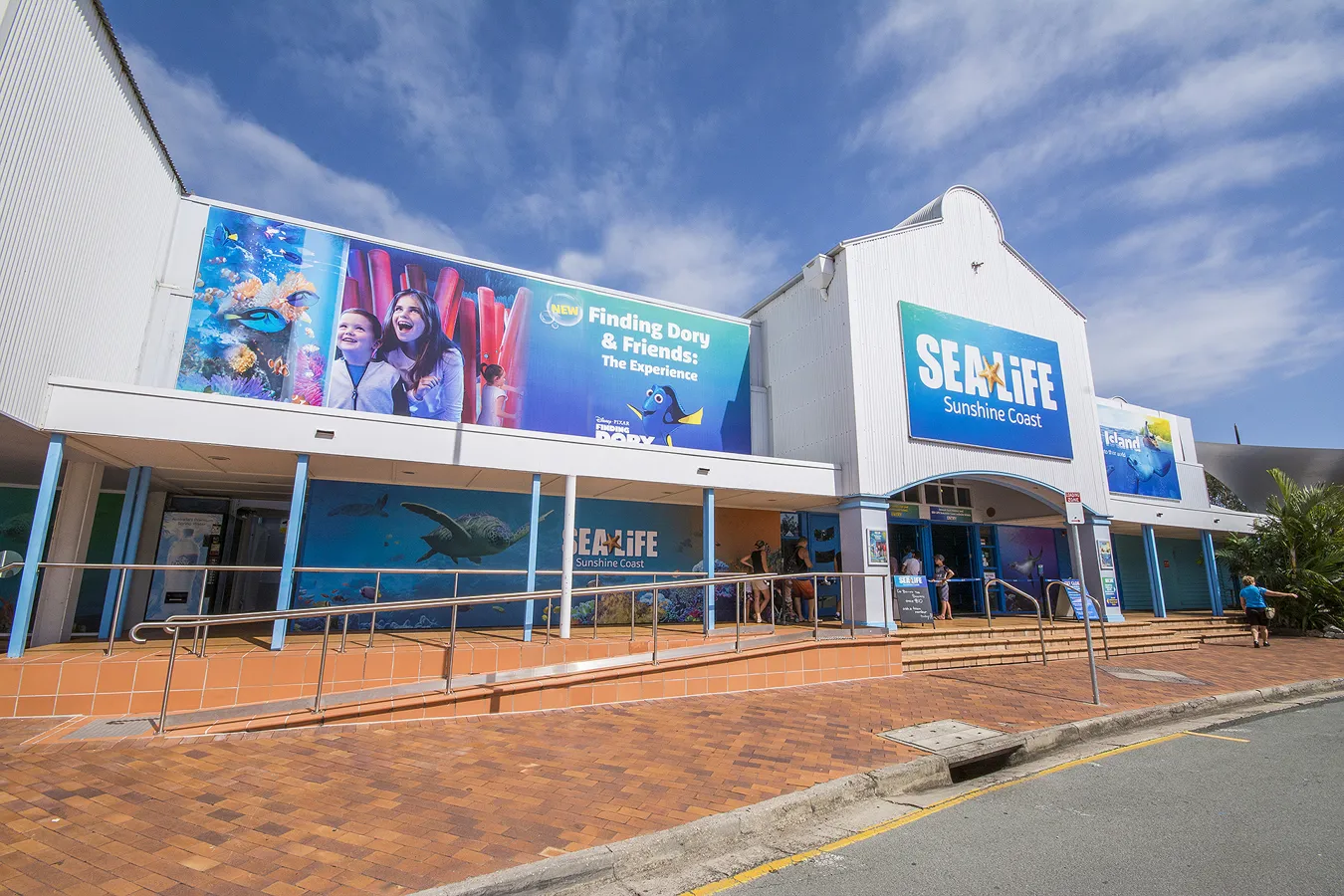 The Sunshine Coast’s Underwater World | SEA LIFE Sunshine Coast ...