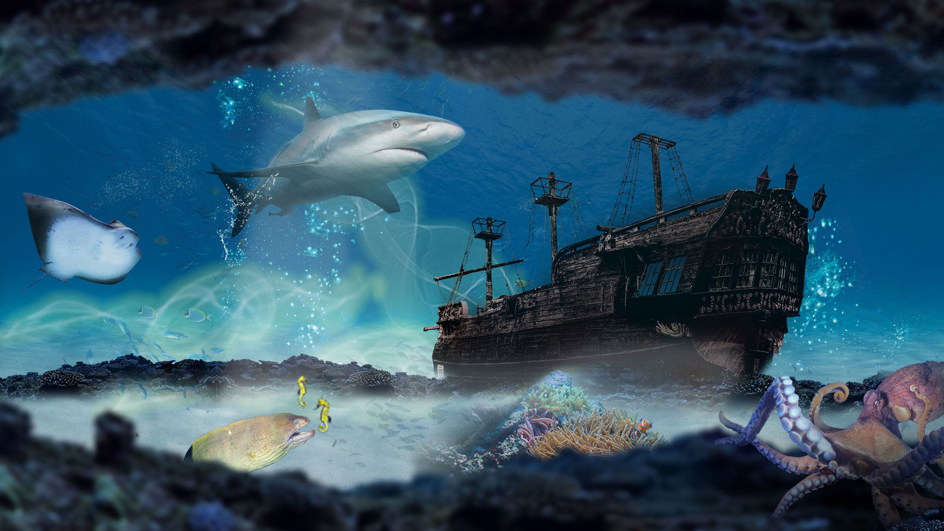 Myths and Legends | SEA LIFE Sunshine Coast