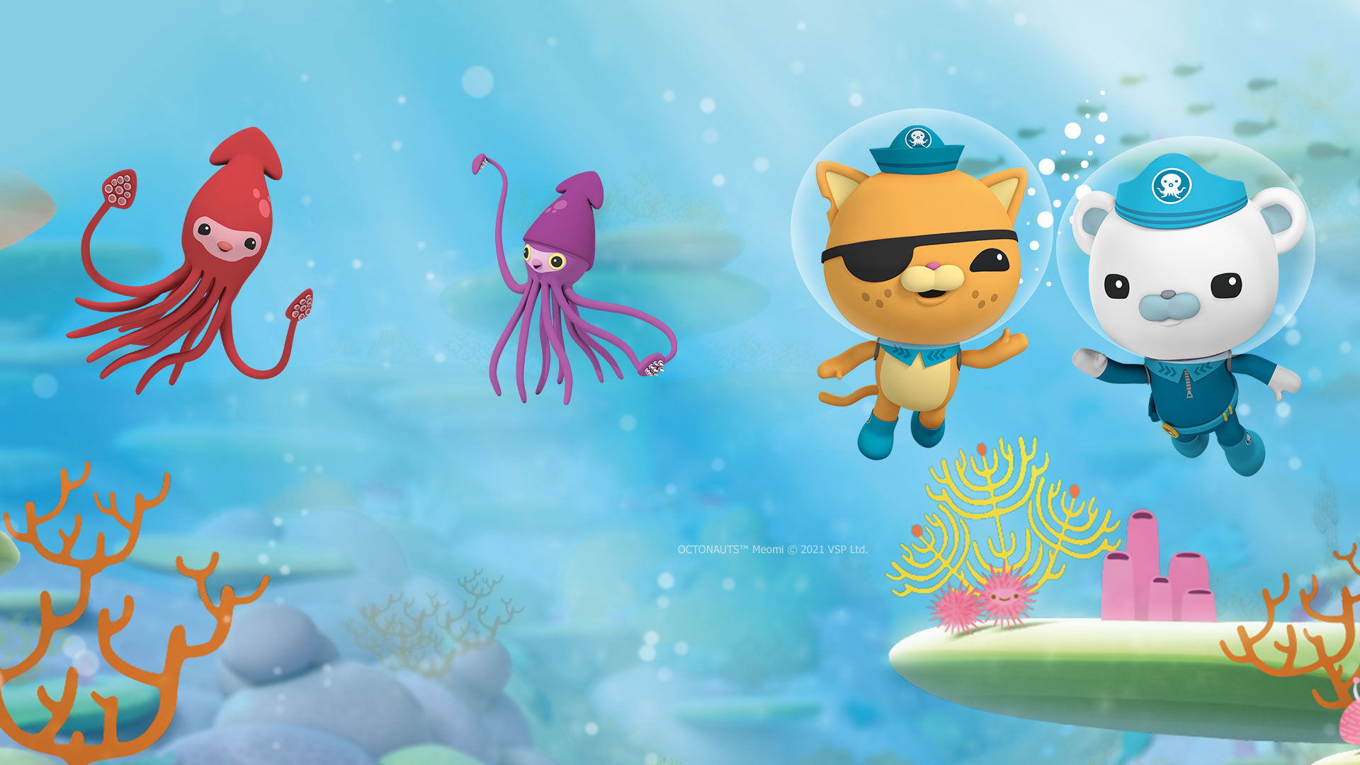 Octonauts Life In The Ocean