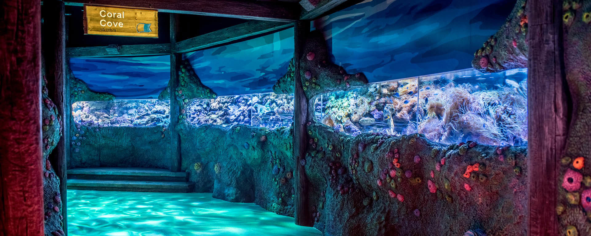 Ticket Prices - Save Up To 25% | SEA LIFE Sydney Aquarium