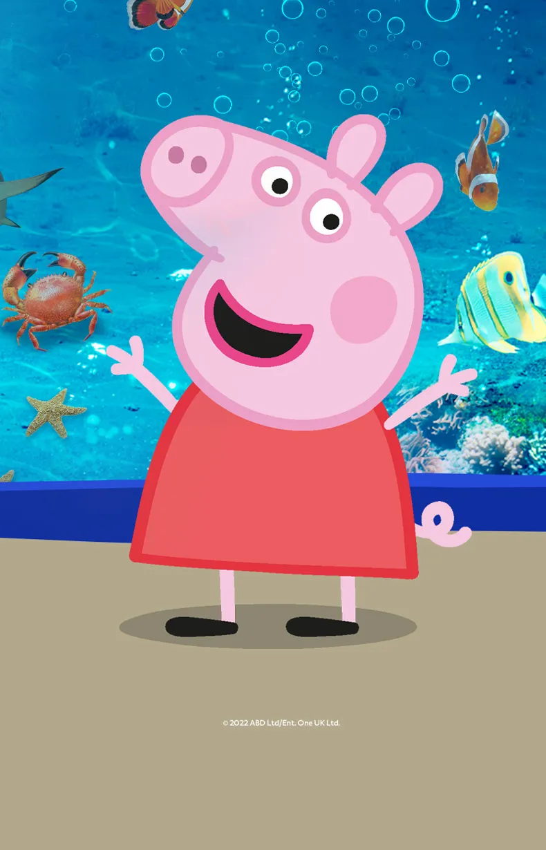 SEA LIFE Tickets & Passes | Aquarium Prices | SEA LIFE Sydney