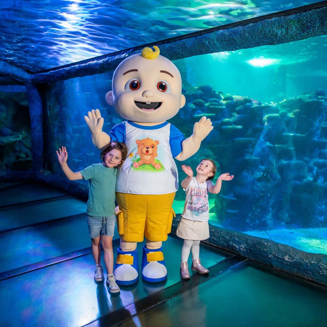 CoComelon Competition SEA LIFE Sydney Aquarium