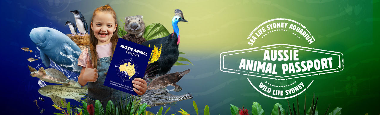 Animal Passport Check-in