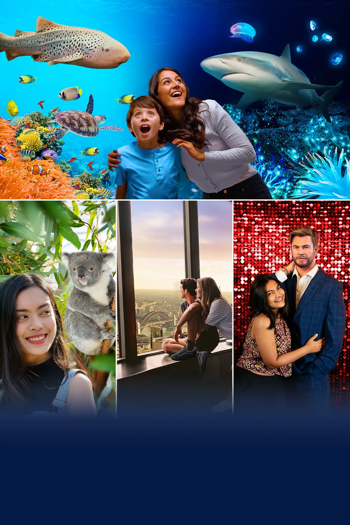 SEA LIFE Aquariums Dive into Immersive Adventure with Nintendo’s Animal ...