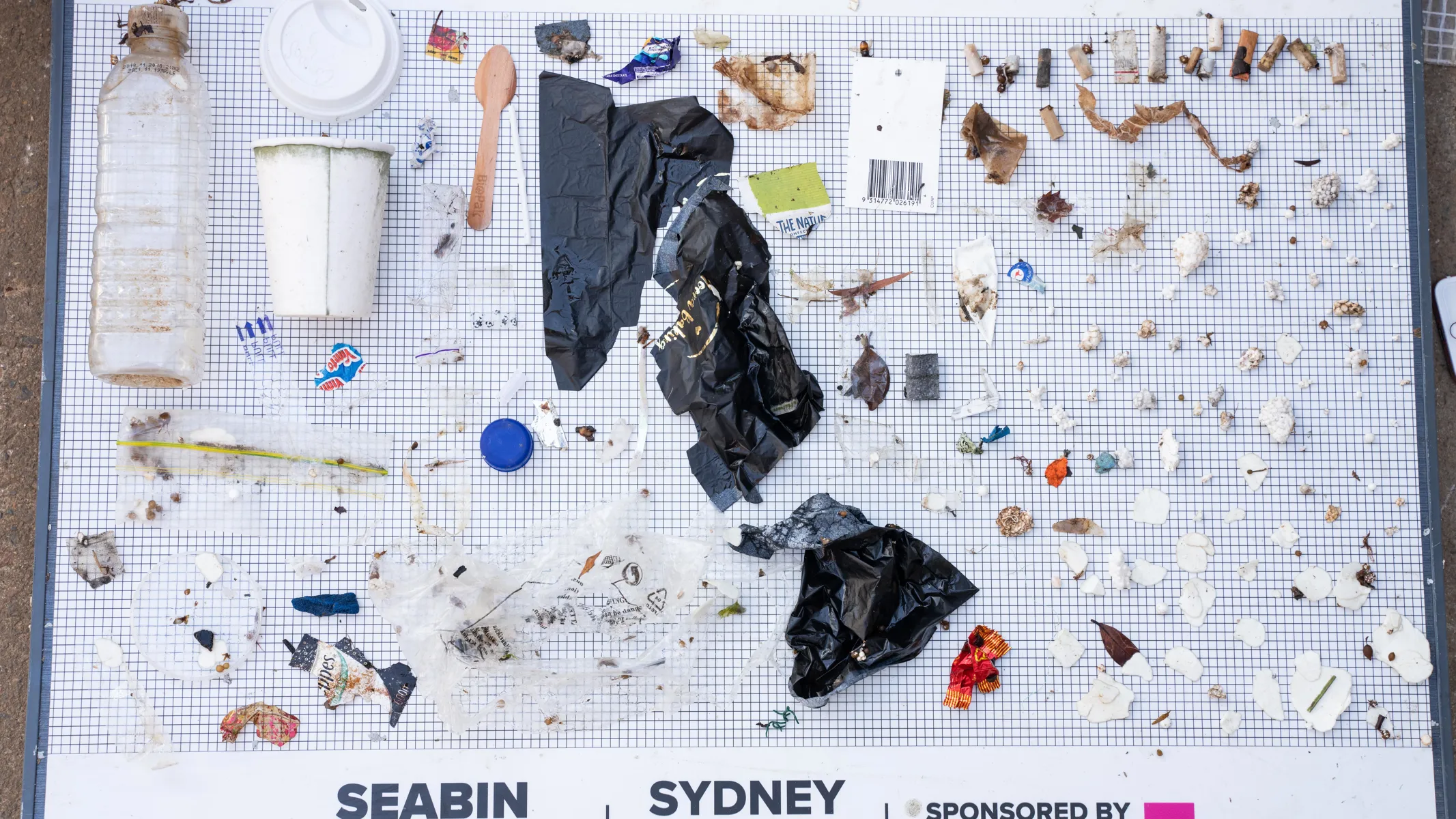 New floating seabin in Sydney Harbour | SEA LIFE Sydney Aquarium