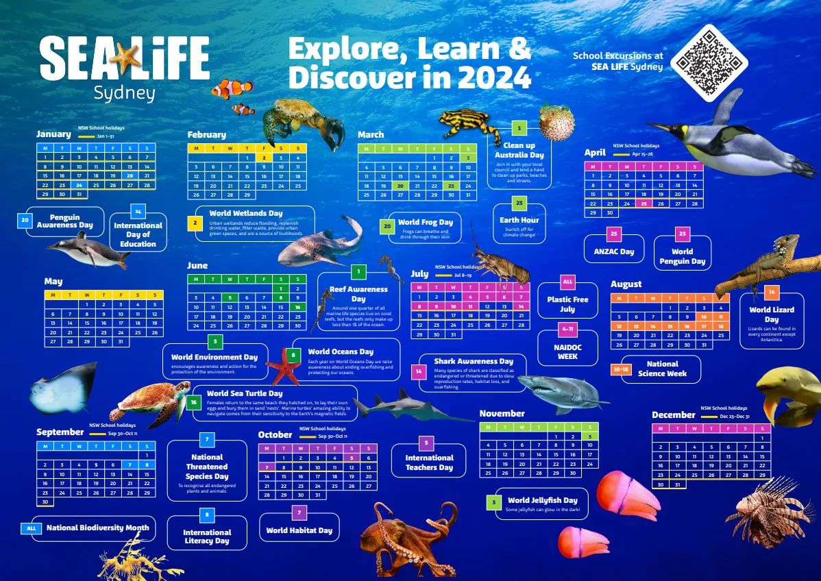 School Excursions at the Aquarium | SEA LIFE Sydney