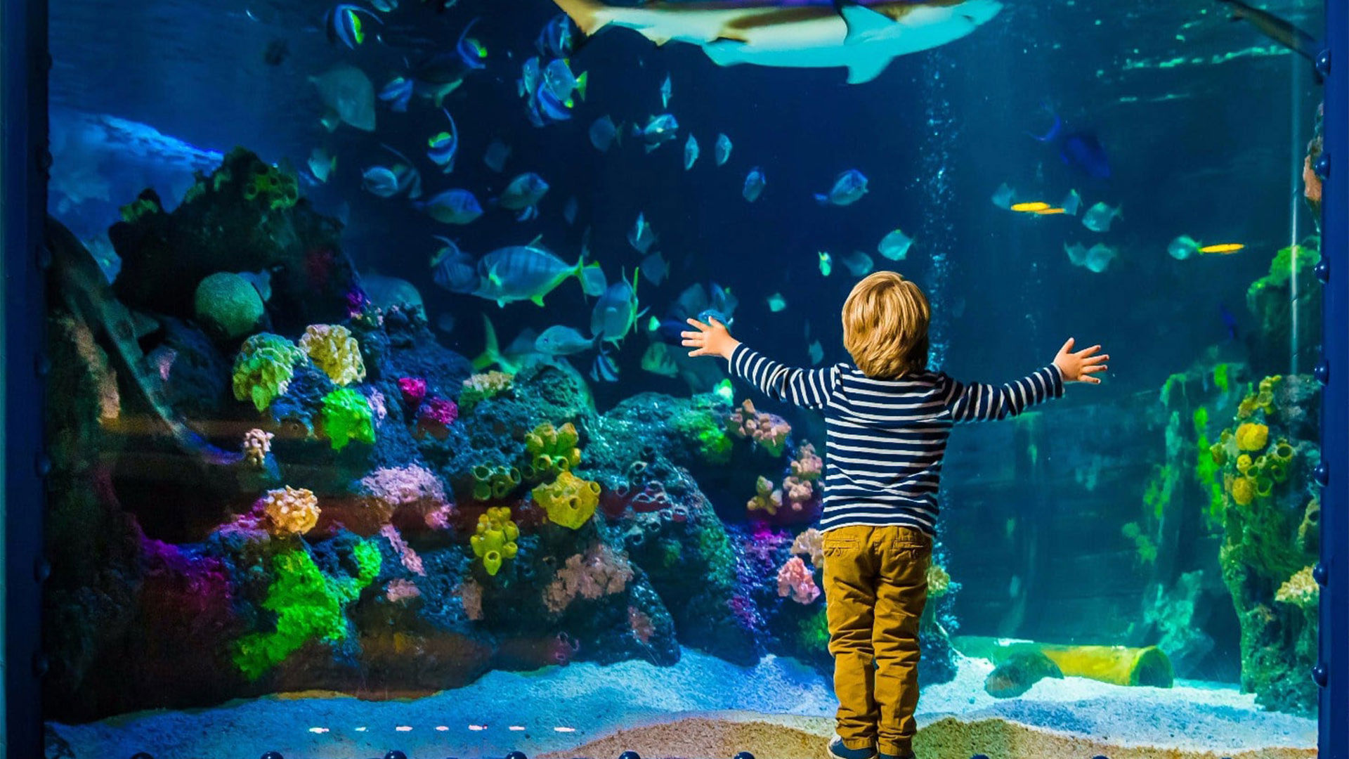 Children's Birthday Party | SEA LIFE Timmendorfer Strand