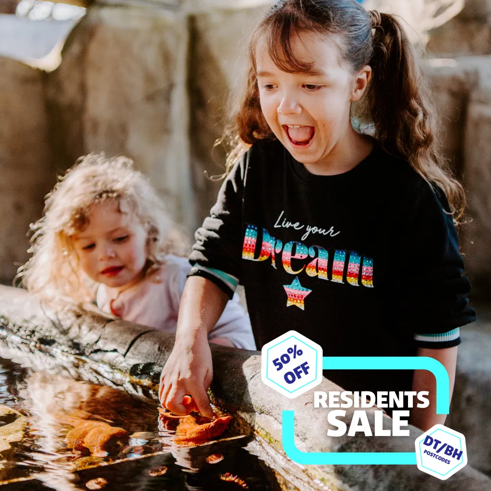 Visit SEA LIFE Weymouth Aquarium Centre