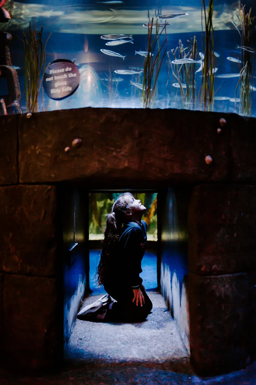 SEA LIFE Weymouth Tickets | SEA LIFE Weymouth Aquarium
